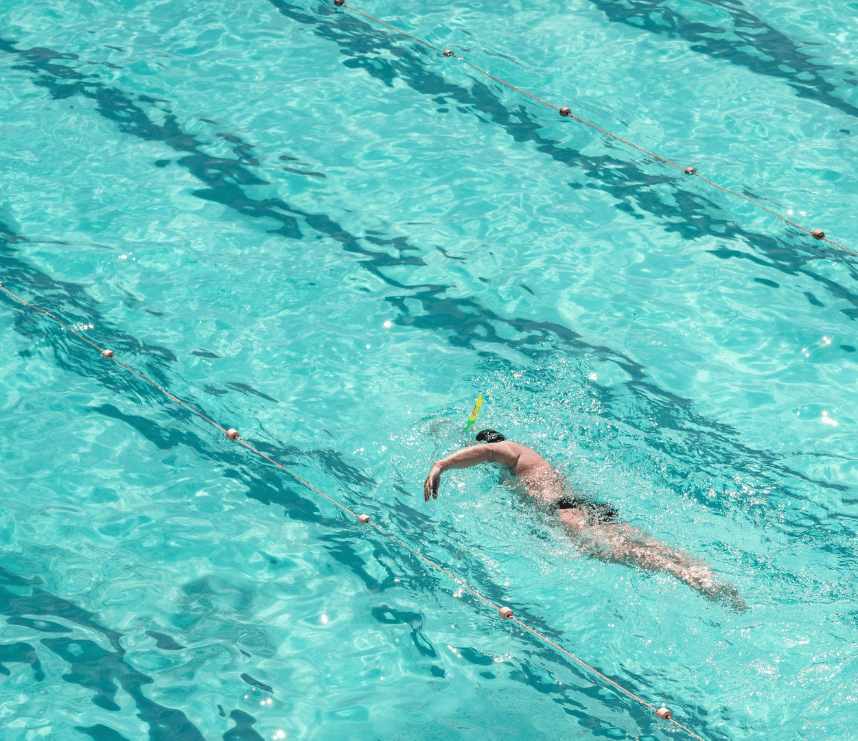 Does Swimming Pool Salt Kill Weeds - Vacbagz.com®